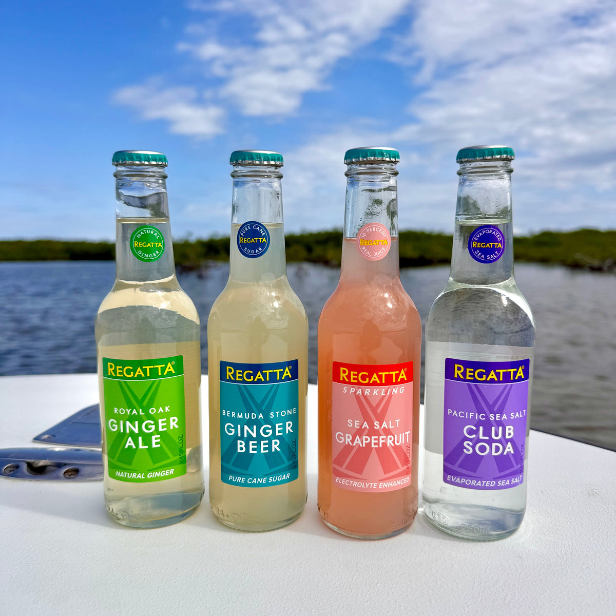 Craft Soda Variety Pack – Regatta Craft Mixers
